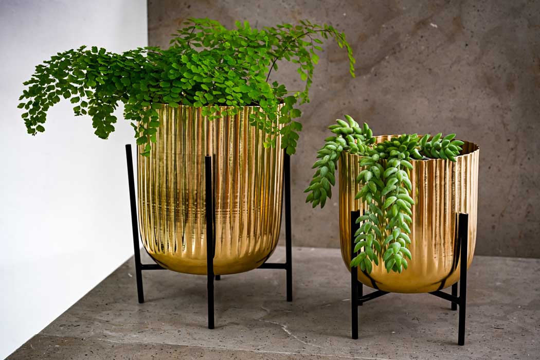 Ribbed Plant Stand Gold L Plant Pot Edge Company